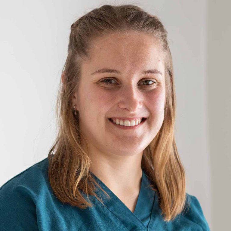 Meet the amazing veterinary team at Mount Vets | Mount Vets