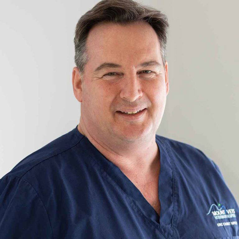 Meet the amazing veterinary team at Mount Vets | Mount Vets