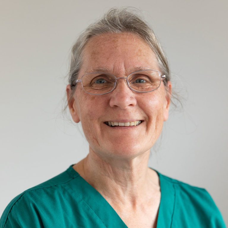 Meet the amazing veterinary team at Mount Vets | Mount Vets