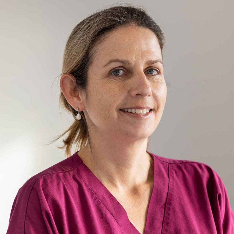 Meet the amazing veterinary team at Mount Vets | Mount Vets