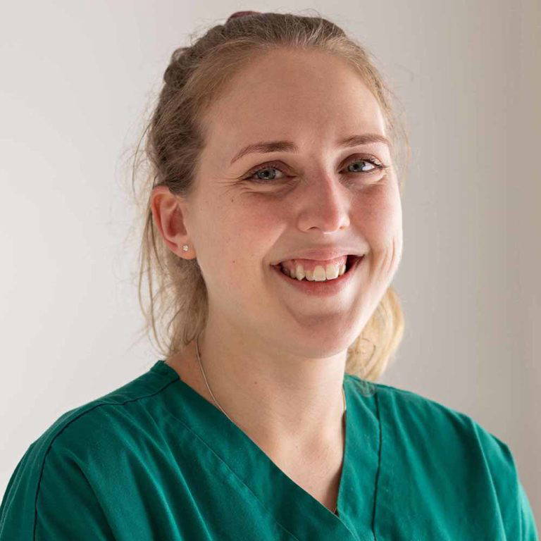 Meet the amazing veterinary team at Mount Vets | Mount Vets