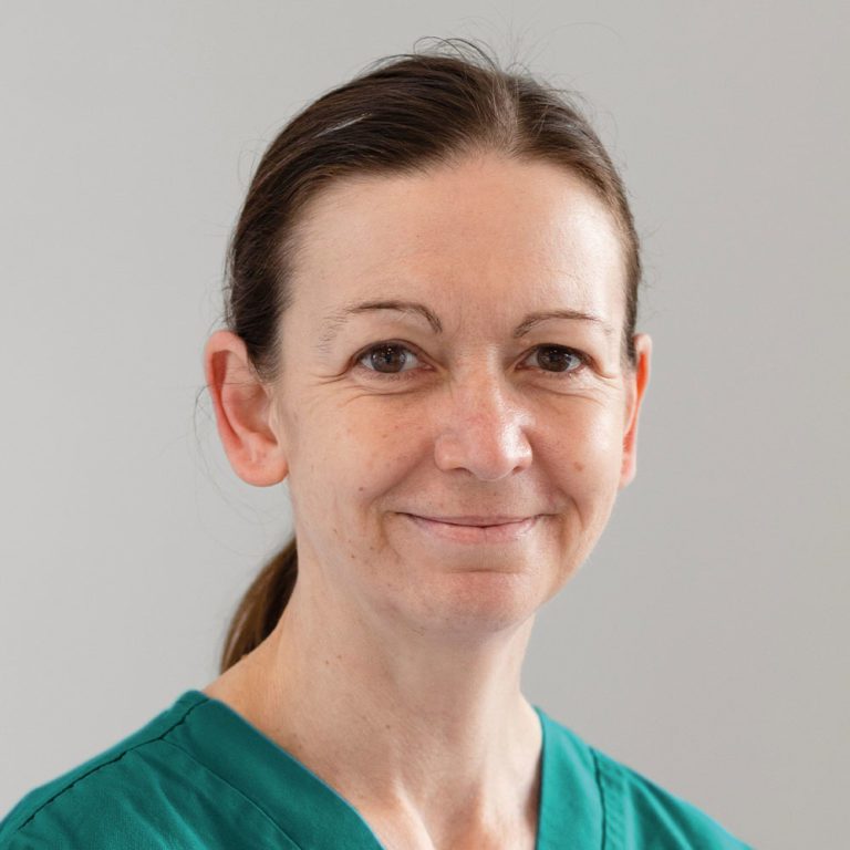 Meet the amazing veterinary team at Mount Vets | Mount Vets