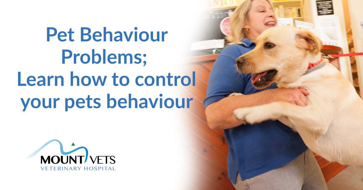 Pet Behaviour Problems; Learn How to Control Your Pets Behaviour