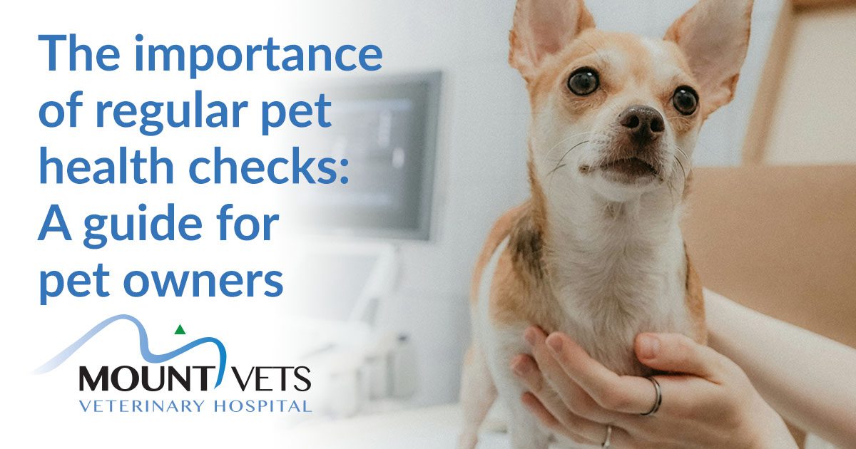 The importance of regular pet health checks: A guide for pet owners ...