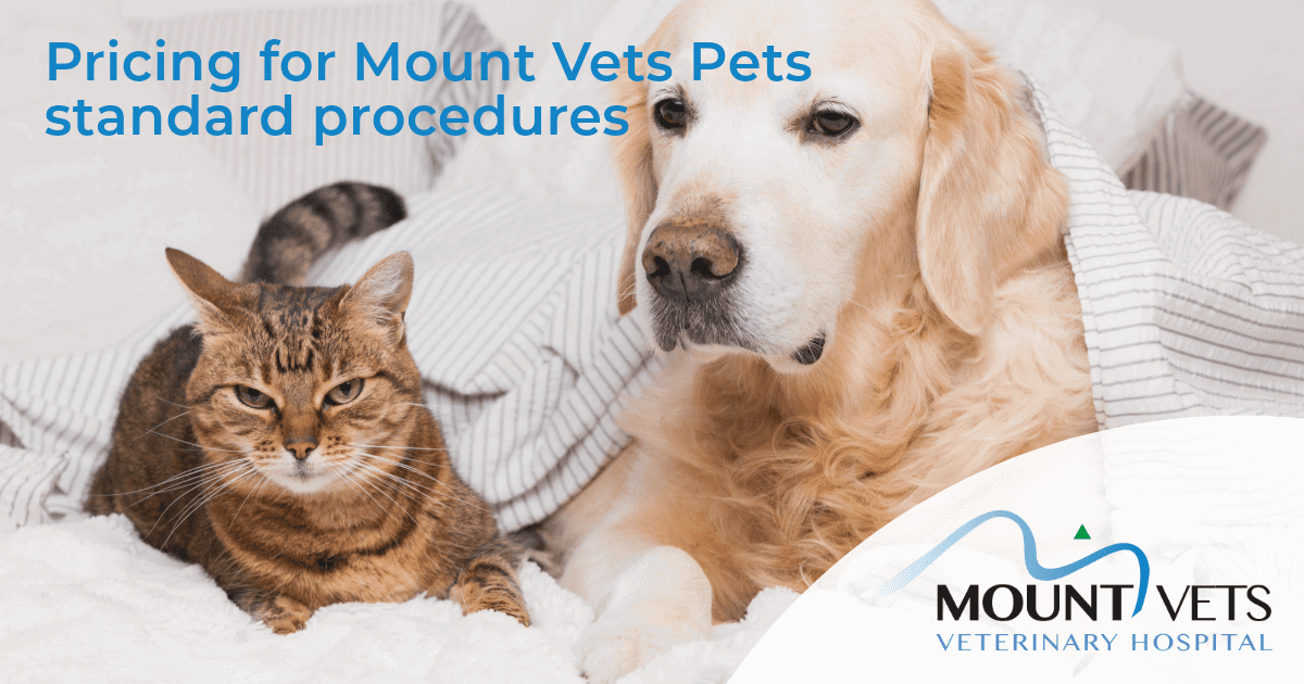 Veterinary Pricing | Mount Vets Pets
